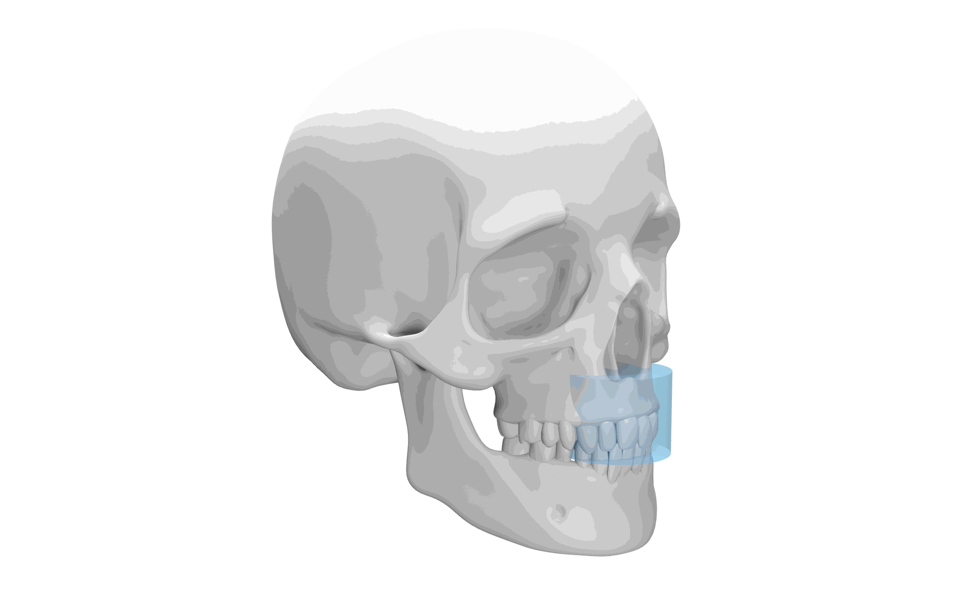Acteon Optima 3D | CBCT & 3D-röntgen voor tandartsen – Habitat Dental